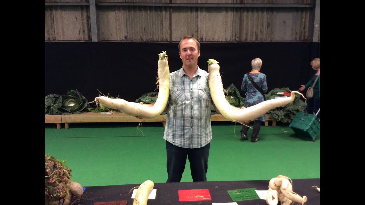 Giant Veg: How to grow Giant Radish - YouTube