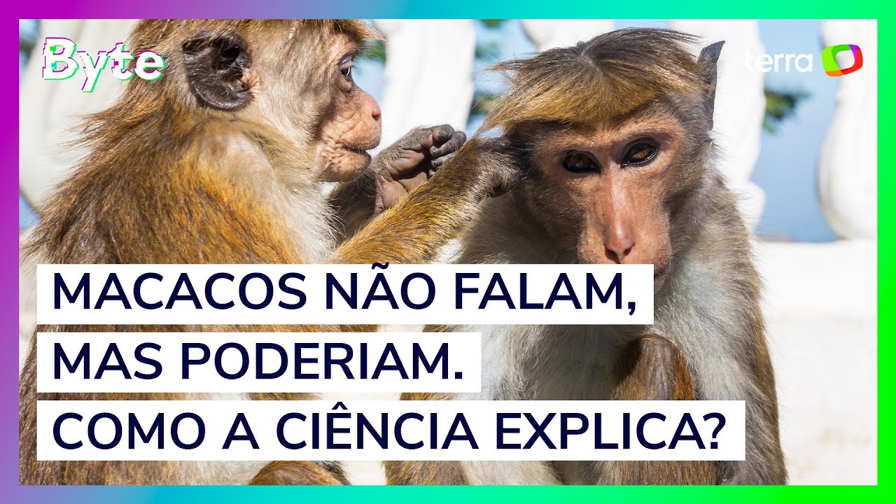 Por que macacos não falam? - YouTube