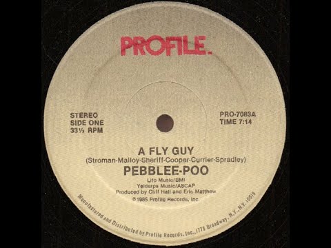 Pebblee Poo - A Fly Guy Profile records 1985 - YouTube