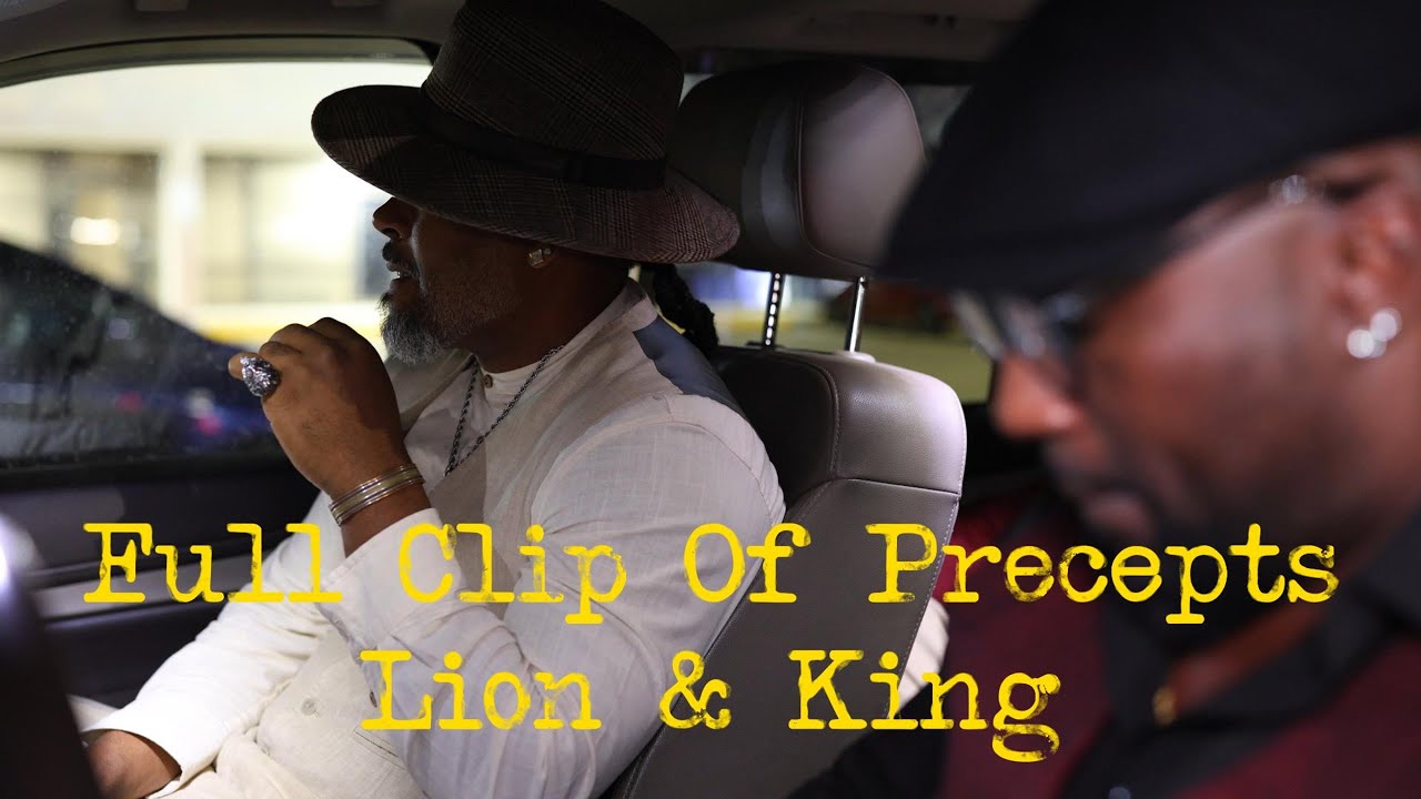 Full clip of Precepts ~ Lion & King - YouTube