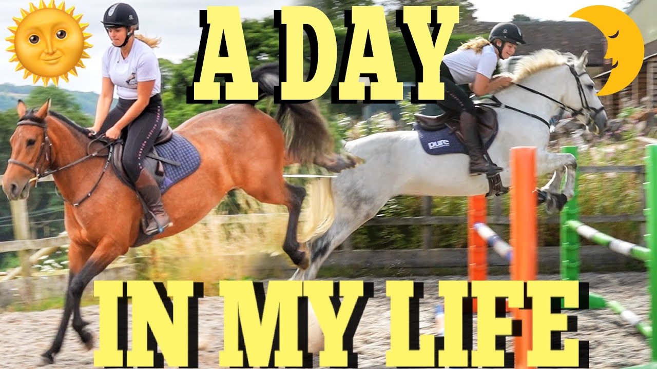 Funny Horse Jumping Quotes
