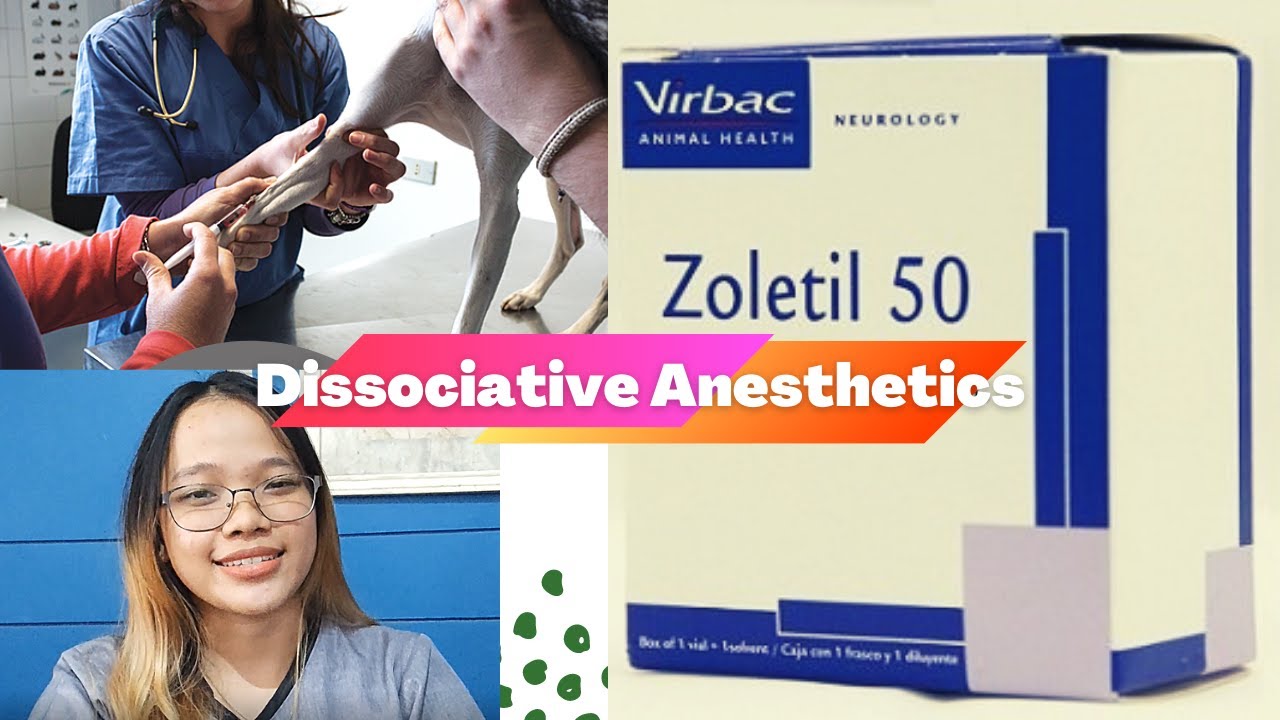 VET PHARMA 1 | Other Injectable Anesthetics & Dissociative Anesthetics ...