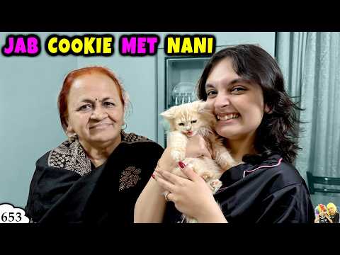 JAB COOKIE MET NANI | Ep 653 | Aayu and Pihu Show