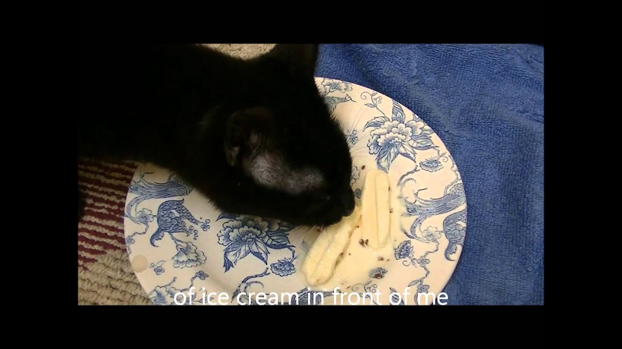 Wolverine attacking ice cream - YouTube