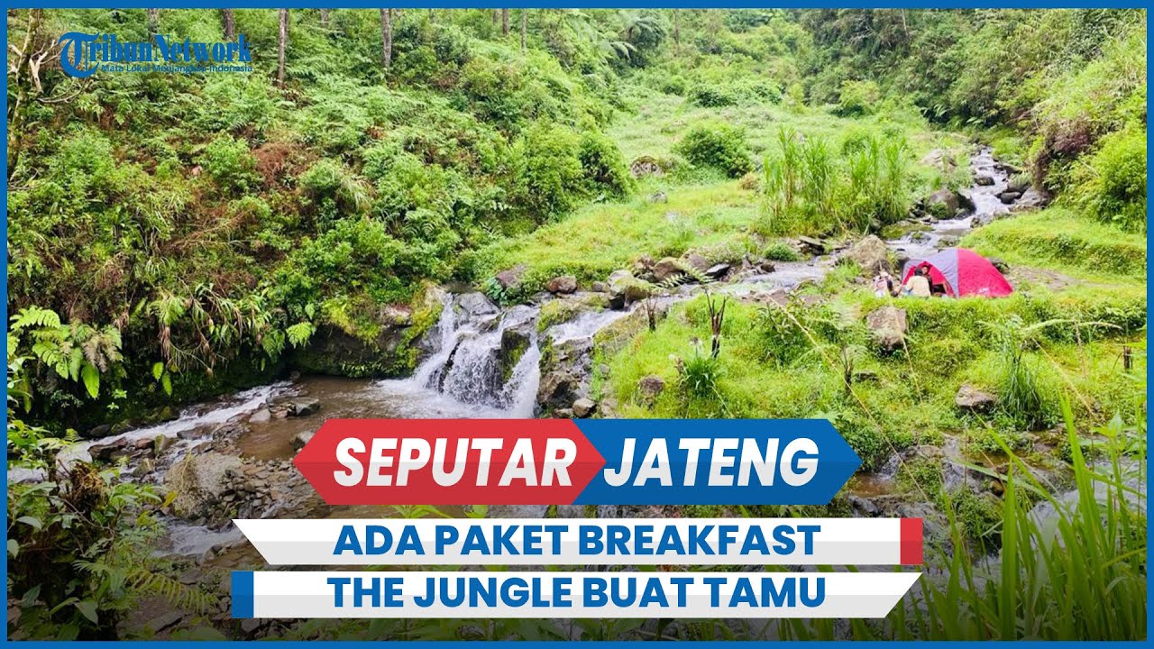 Ada Paket Breakfast The Jungle di Joglo Ageng Guci Tegal, Bisa Hiking ...