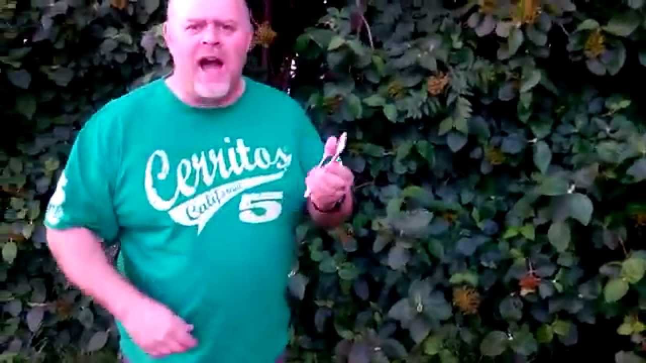 iPhone bit my finger - YouTube