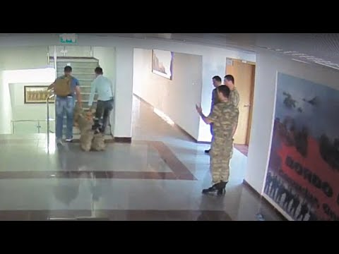 ÖKK_Bordo Bereliye domuz bağı_2