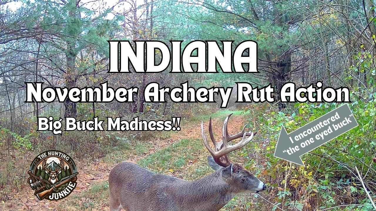 Indiana Early November Archery Whitetail Hunts - Part 1 - YouTube