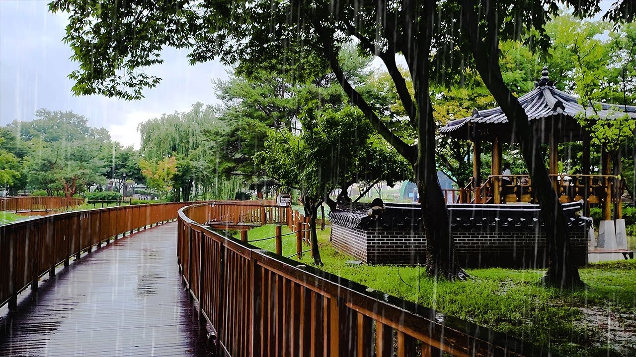 [Rain Walk] Korean garden wet in the rain - YouTube