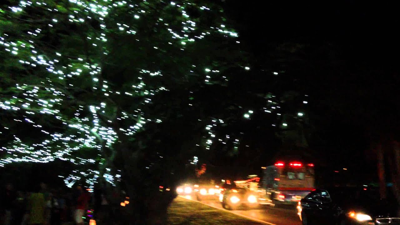 luminary bike path 2014 - YouTube