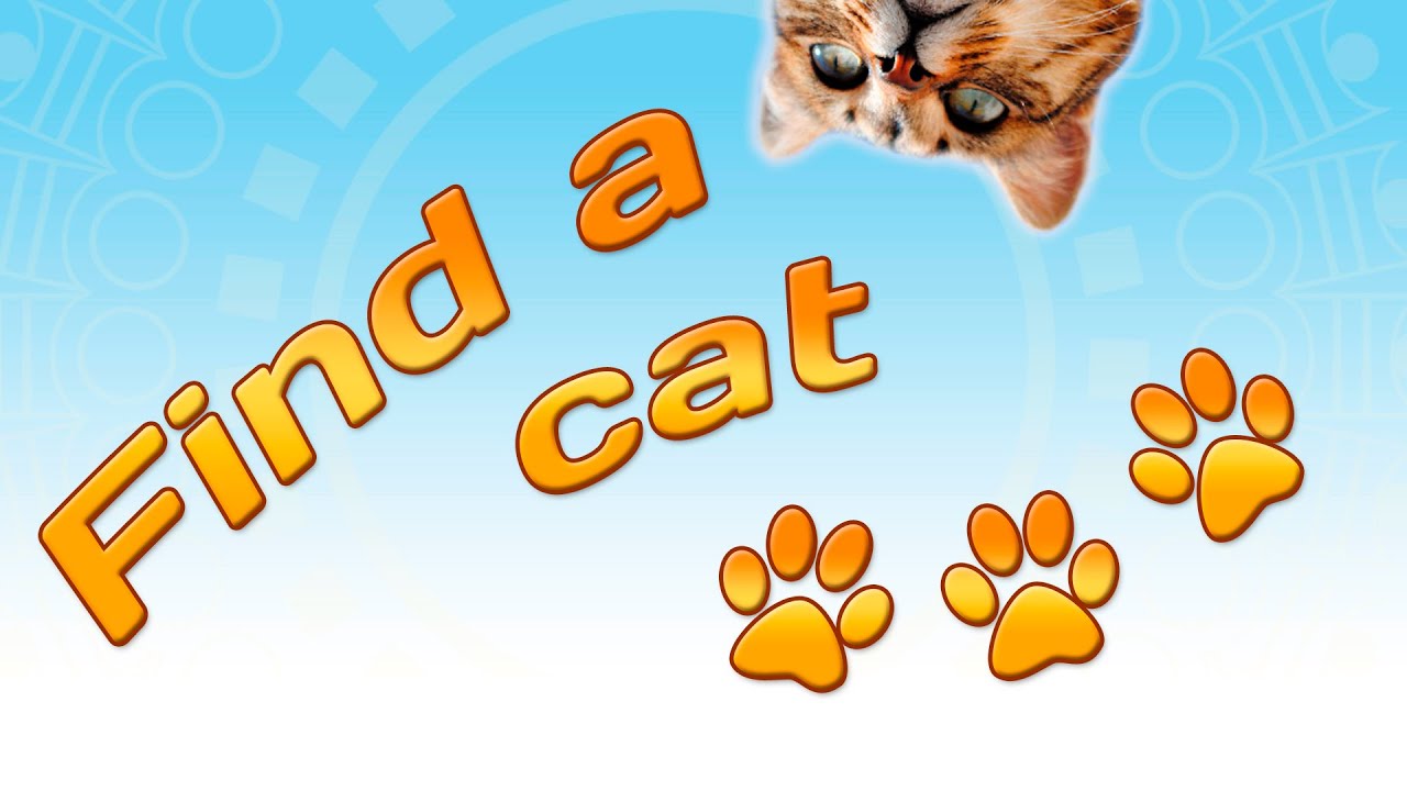 Find a Cat 3 - YouTube
