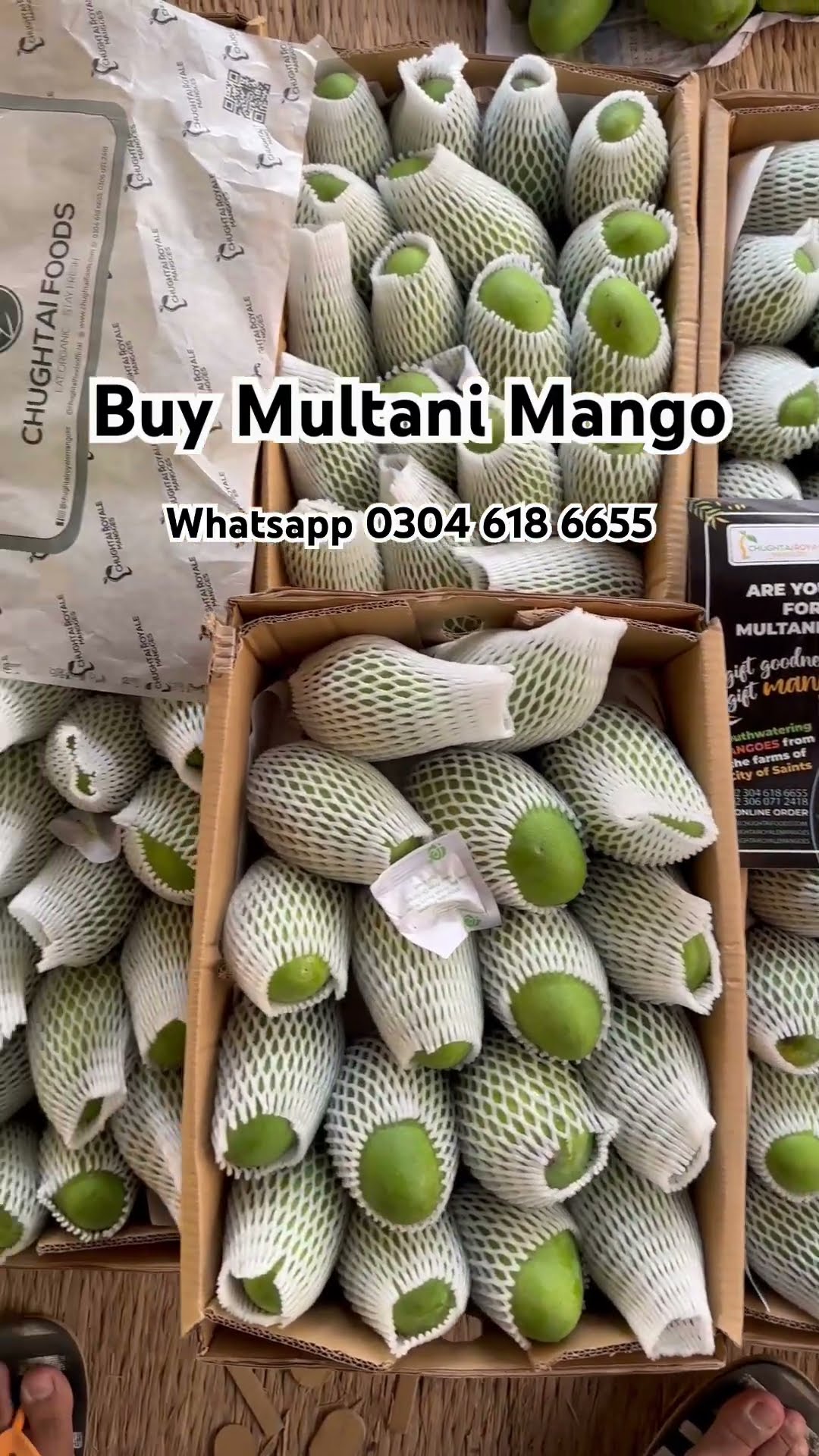Multani mango | Chaunsa mango | Anwar Ratol - YouTube