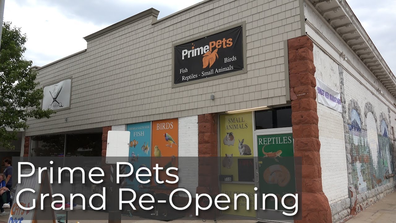 Prime Pets Grand Re-Opening | 06/18/22 - YouTube