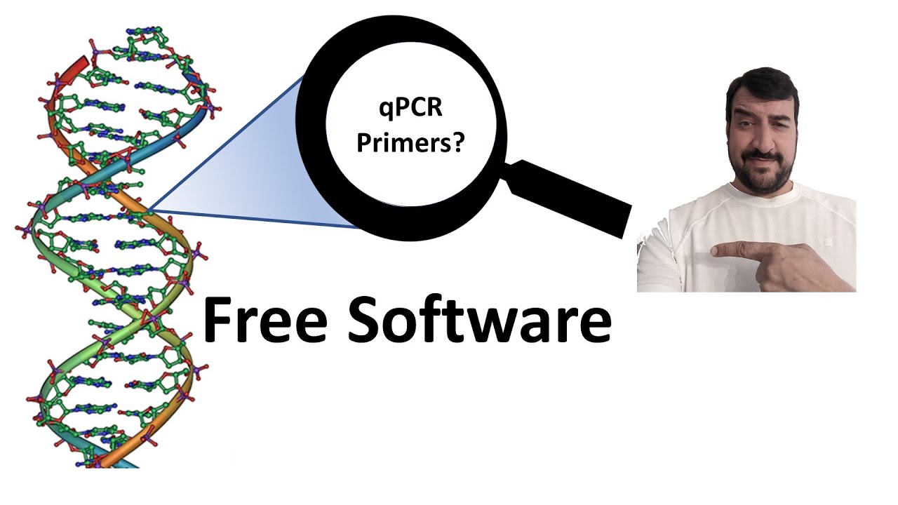 How to design qPCR and RT-qPCR primers - YouTube