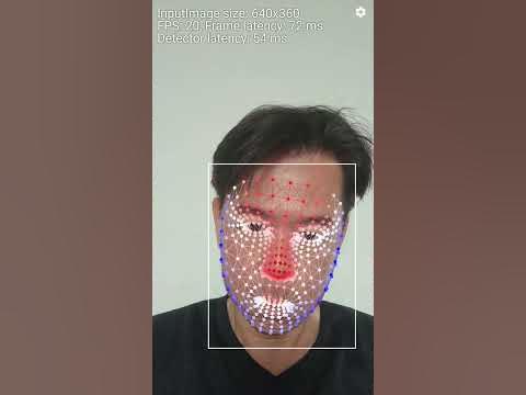 Face Mesh Detection Demo - YouTube