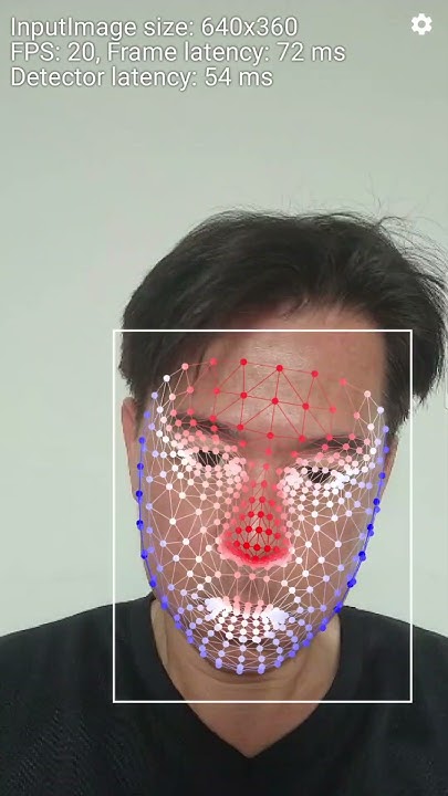 Face Mesh Detection Demo - YouTube
