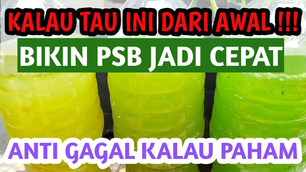 BIKIN PSB JADI MUDAH DAN CEPAT KALAU TAU INI ! INILAH CARA MEMPERCEPAT PEMBUATAN PSB - YouTube