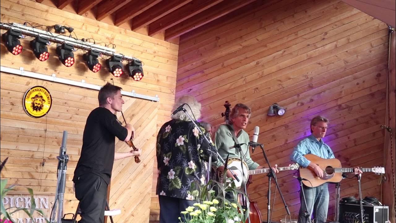 The David Grisman Bluegrass Experience The Gold Watch And Chain 6 24