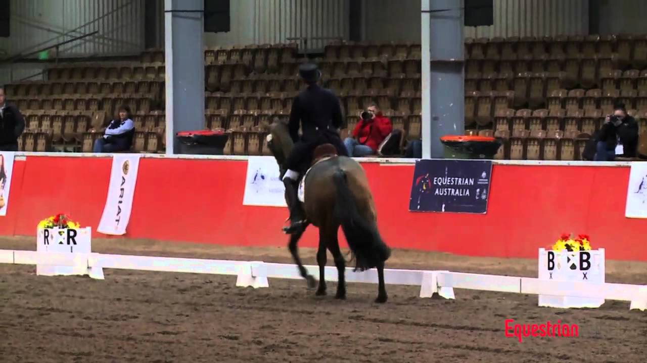 Craig Barrett and Wendela Jamie CCI 3* at the M3DE - YouTube