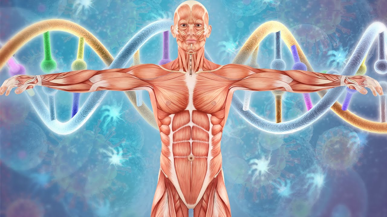 HEALING ALPHA WAVES FULL BODY In 4 Minutes - Full Body Repair and ...