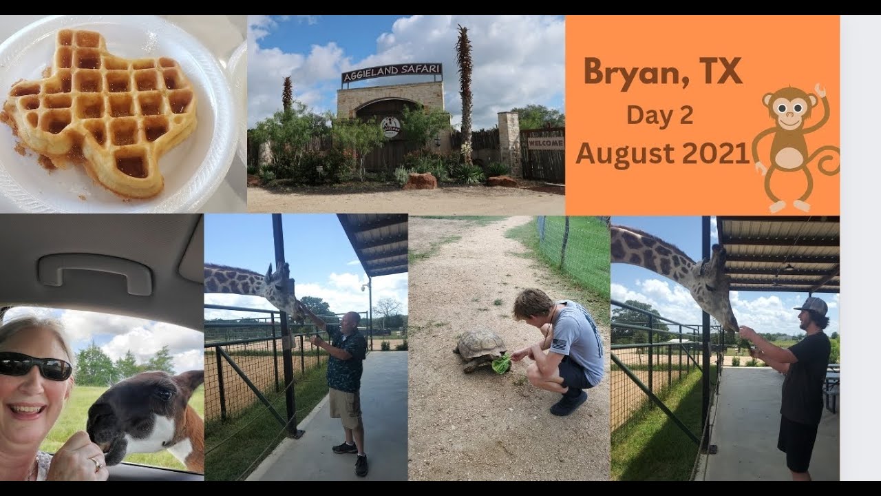 Aggieland Safari Park (Aug 2021) - YouTube