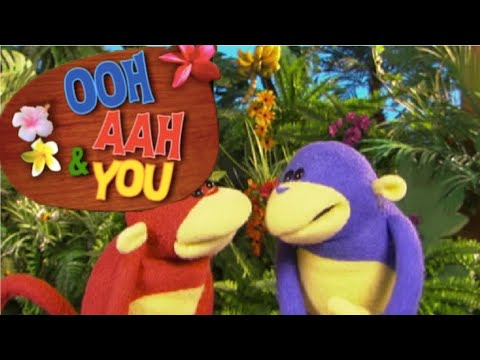 Ooh Aah & You - Best Friend Day
