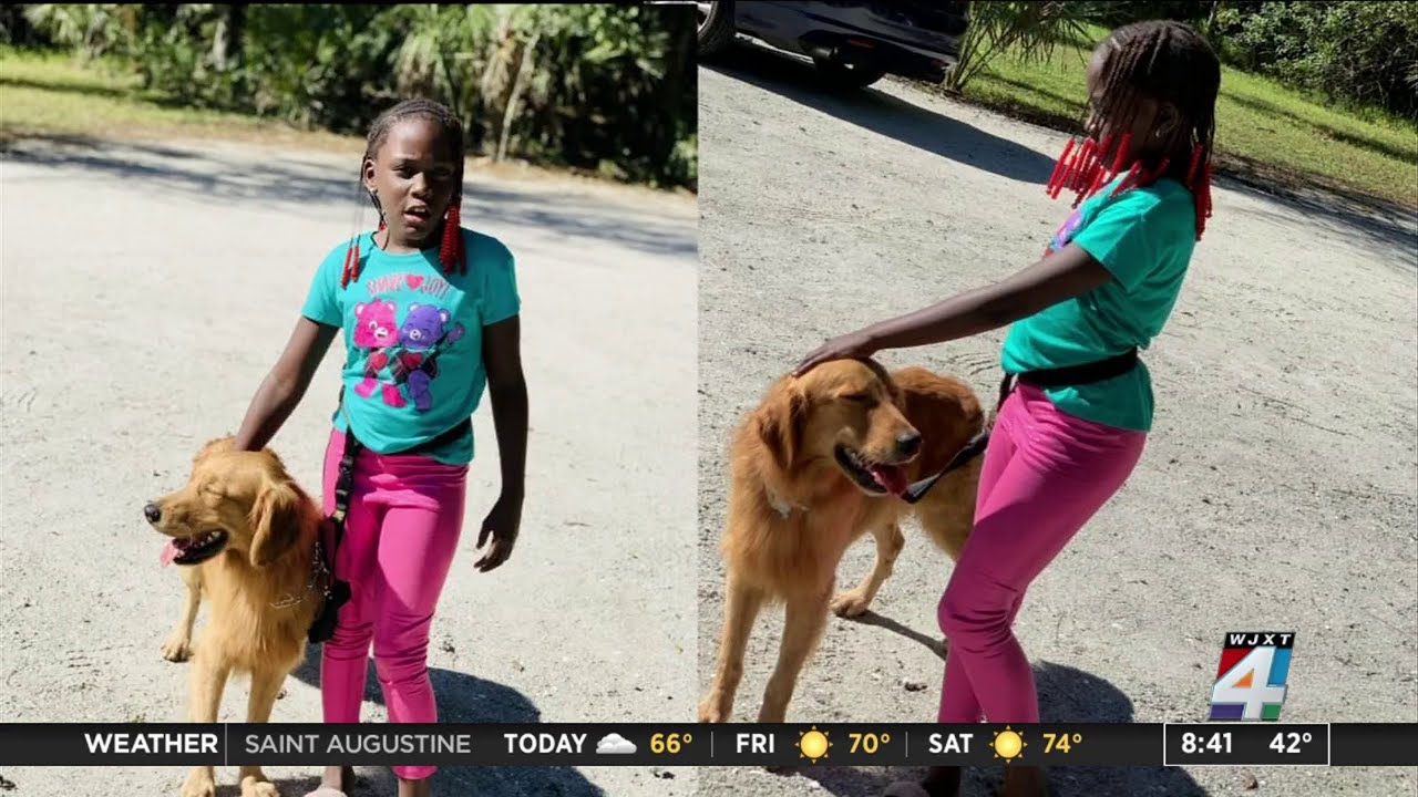 Family needs help to train seizure alert dog - YouTube