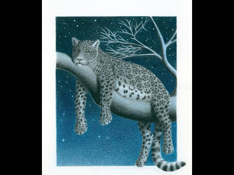 ABC-Dino Xenegugeli, die App um Schweizer Basisschrift in 10 Tagen zu lernen