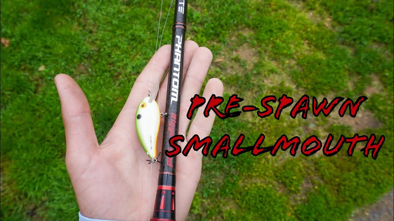 Pre-spawn SMALLMOUTH - YouTube