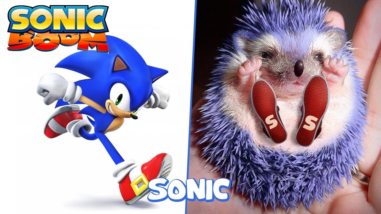 Sonic Boom In Real Life! All Characters - YouTube