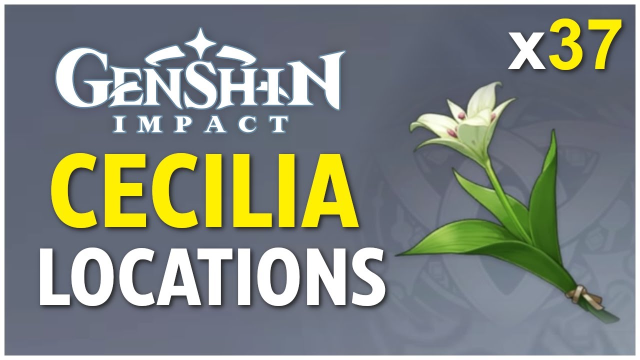 ALL 37 Cecilia Locations - Genshin Impact - YouTube