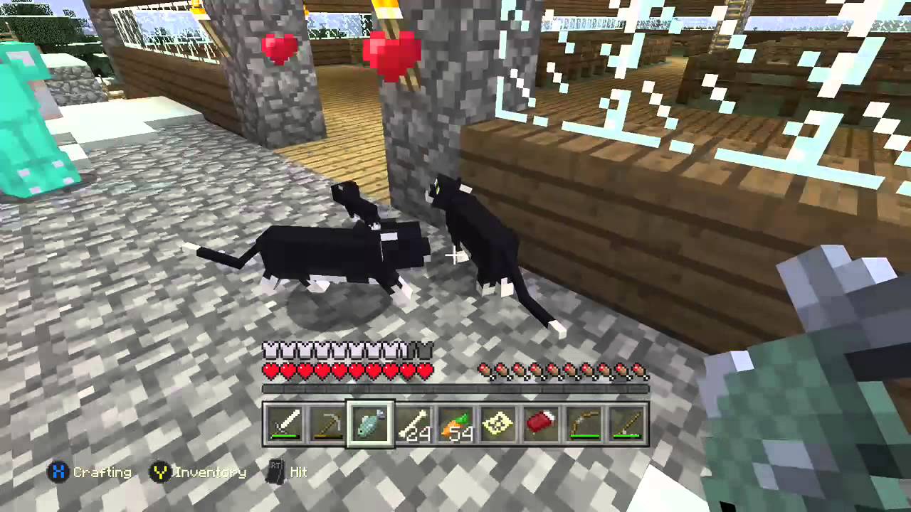 Minecraft: Xbox One Edition-Breeding tuxedo cats-little baby kitten ...