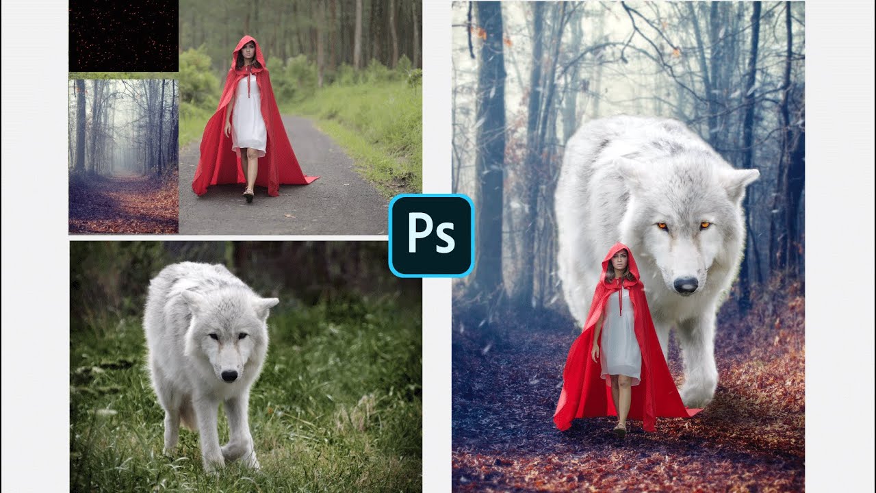 Big Wolf Fantasy Photo Manipulation Photoshop Tutorial - YouTube