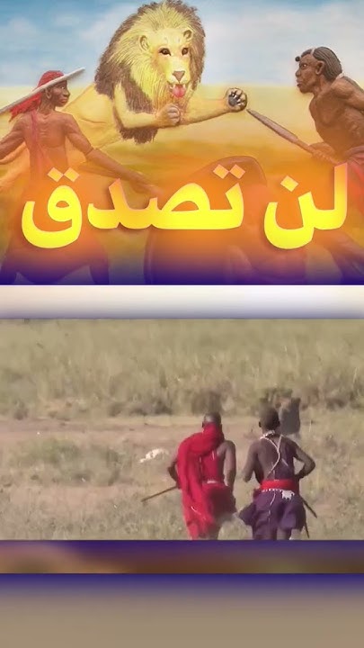 إنسان يواجه أسد لن تصدق 😱 Youtube
