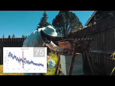 Counting Bees - Computer Vision with VLC - YouTube