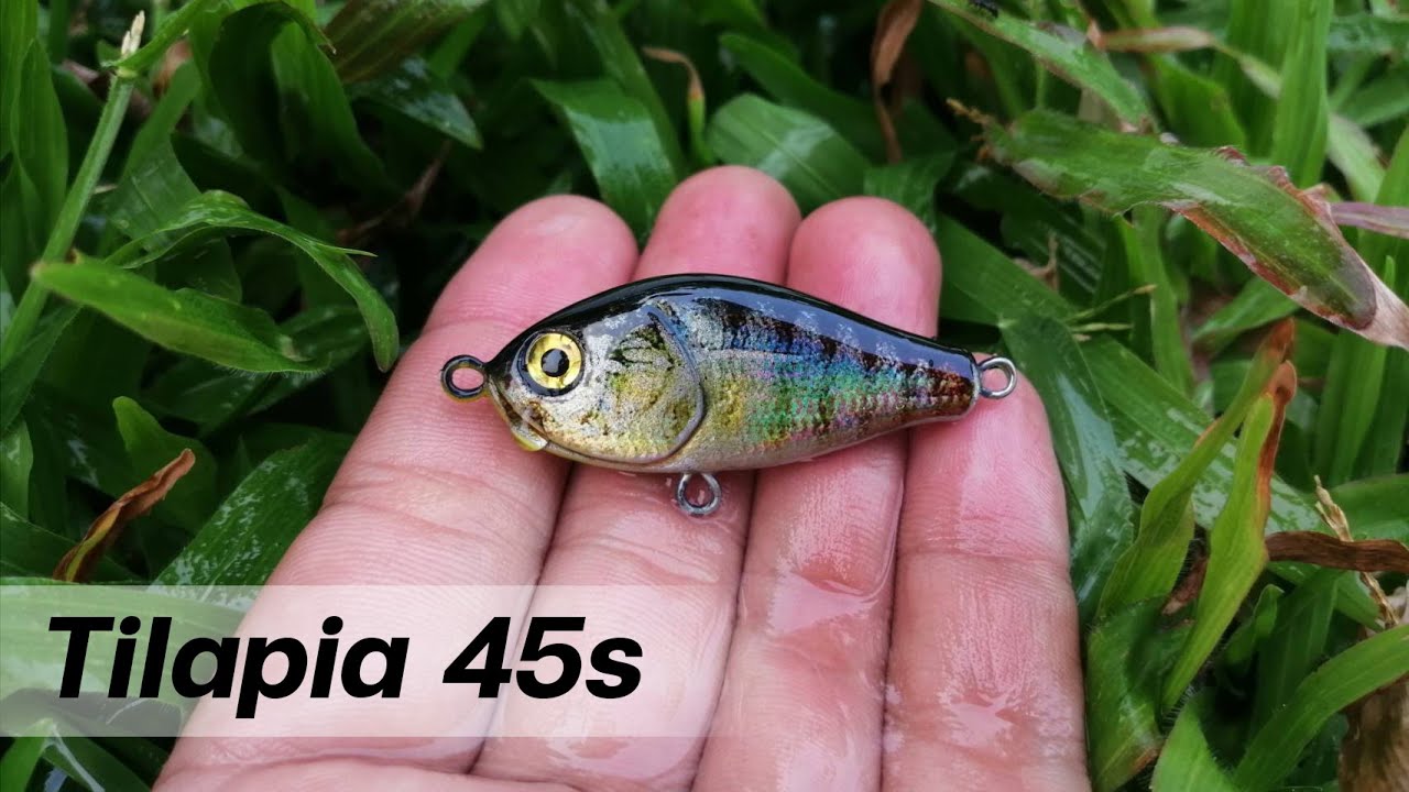 ทำเหยื่อปลอมจมโคลง - Making Lure Tilapia Lipless 45s - YouTube