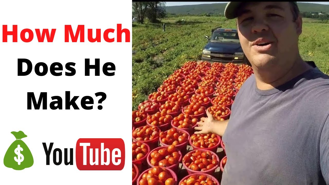How Much Does The Veggie Boys Make on youtube - YouTube