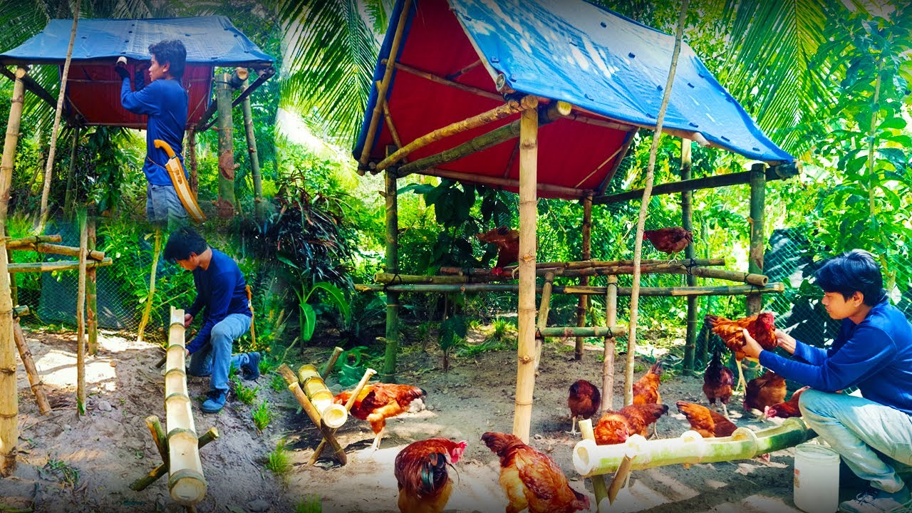 Rebuilding Backyard Farm: From Building Coop to Putting Chickens ...
