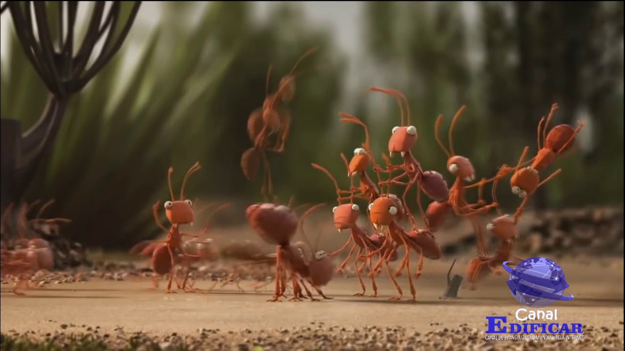 a importância de trabalhar em equipe unida - YouTube