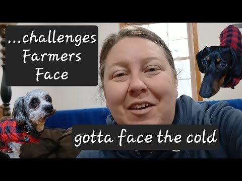 Gotta Go Out In The Cold...Gotta Face The Day...Challenges All Farmers ...
