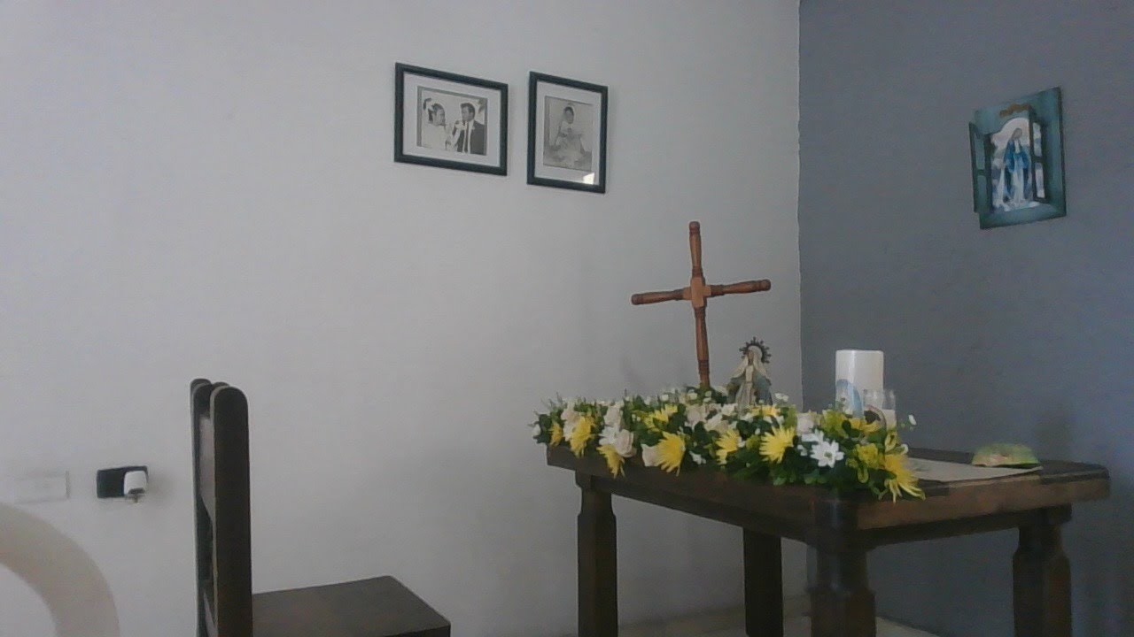 BODAS DE ORO - LUIS IGNACIO Y NOHEMY - YouTube