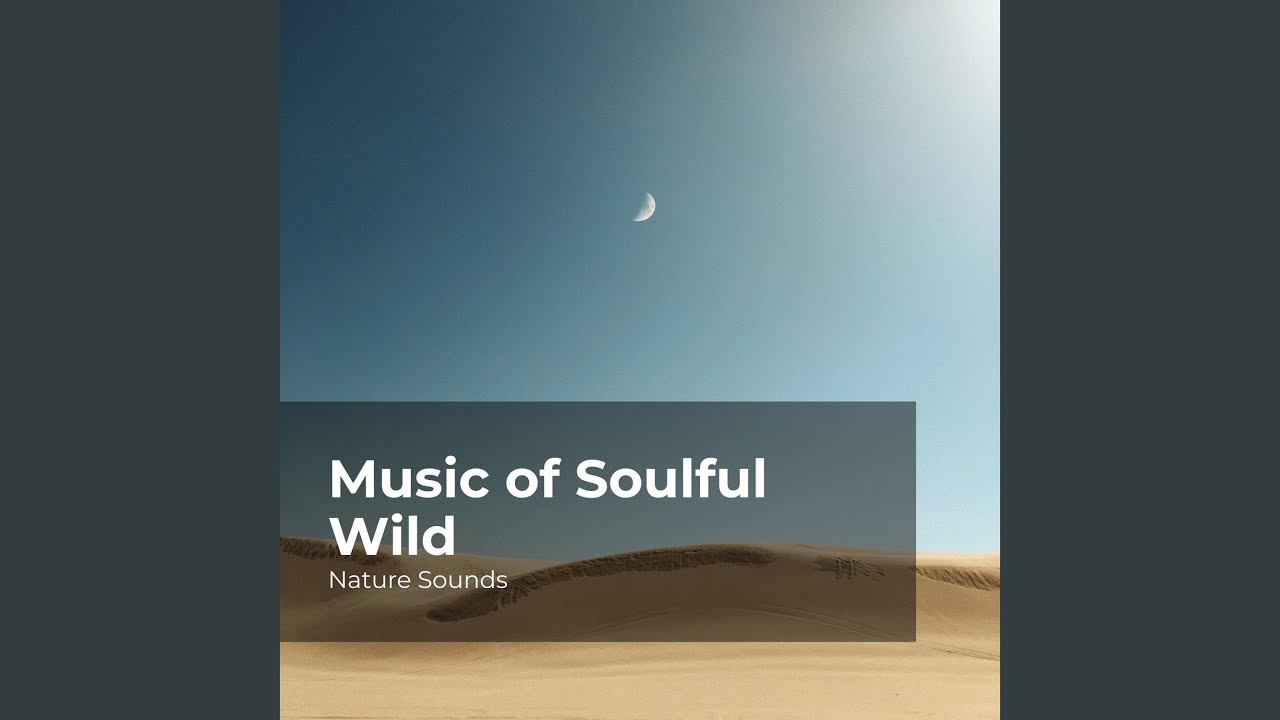Mellow Ocean Waves - YouTube