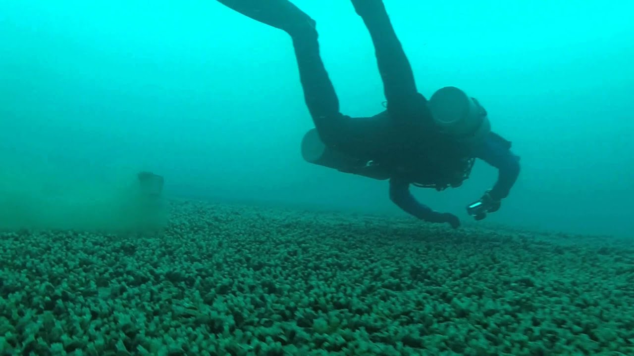 International Dive - Pestani - Ohrid Lake - Macedonia - 07.Dec.2014 ...