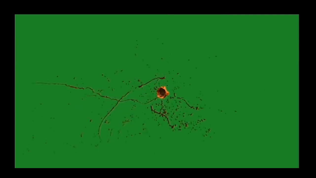 Free green screen _ Bullet hit on body effect #greenscreen - YouTube