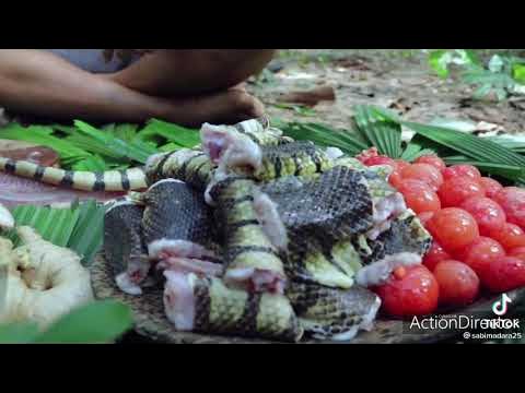ឆាគ្រឿងពស់សង់សឿ/Roast Snake🐍🐍 - YouTube