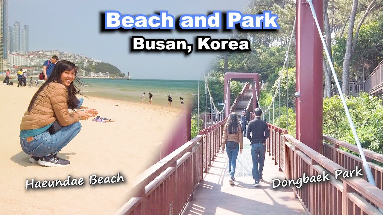Haeundae Beach and Dongbaek Park @ Busan, Korea⛩️ Explore Korea Trip ...