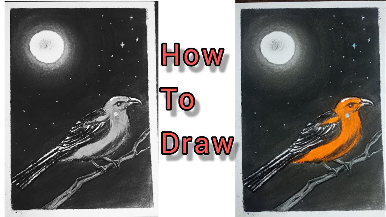 How to draw a Bird scenery drawing - YouTube