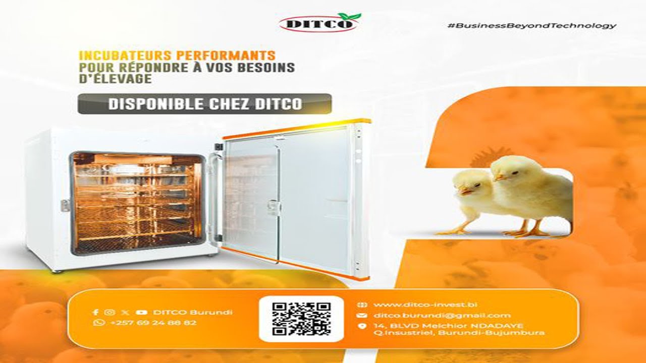 Un outil incontournable pour les éleveurs : Incubateurs à œufs chez ...