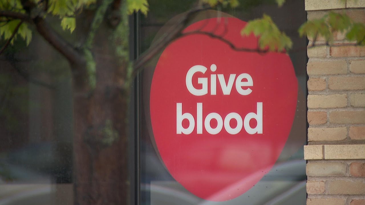 ‘Pint for a Pint’: Memorial Blood Centers Offers Deal for Donors - YouTube