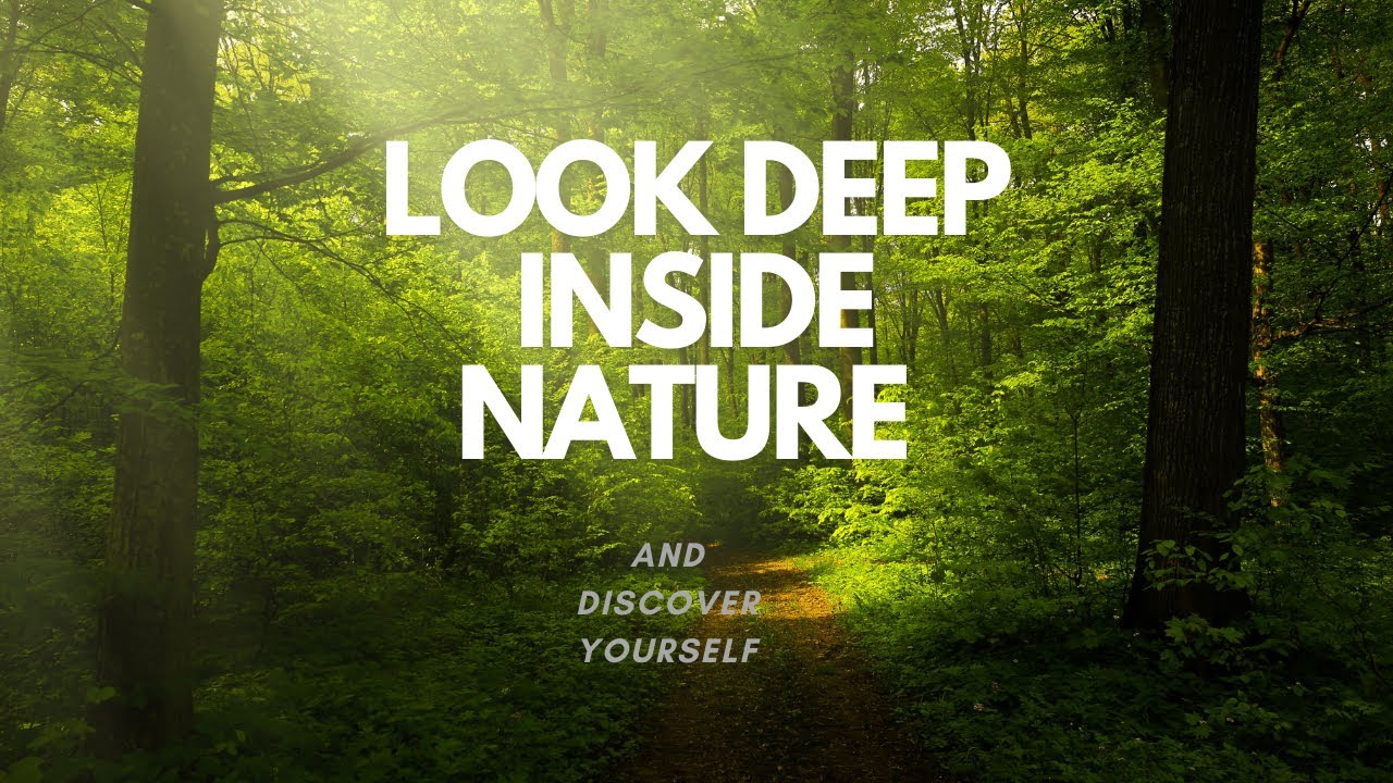 Look Deep inside Nature and dicover yourself ️🌴#nature #connection # ...